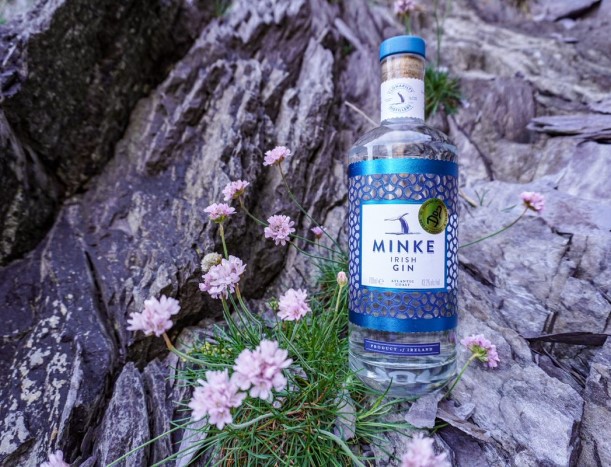 ExploreIrishGin - Drinks Ireland